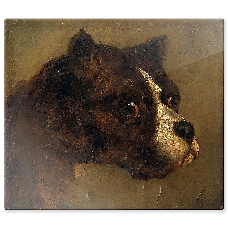 Bulldog Head (aluminium panels) · Louvre Shop